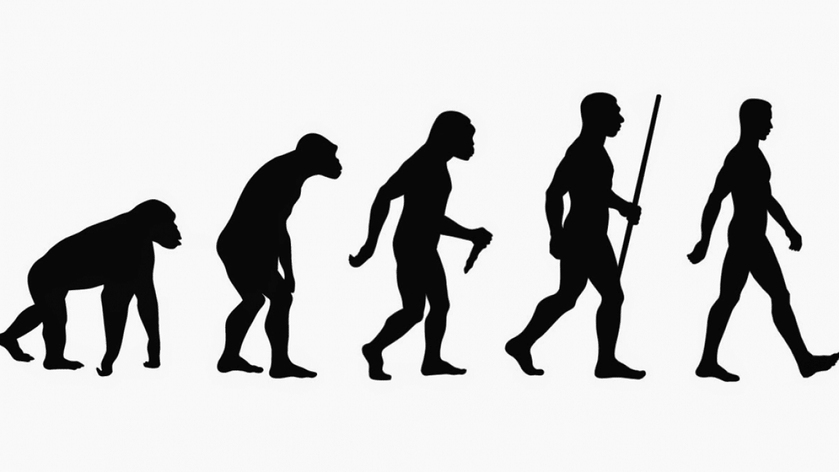 El origen de la biología: cuándo se considera que comenzó su historia