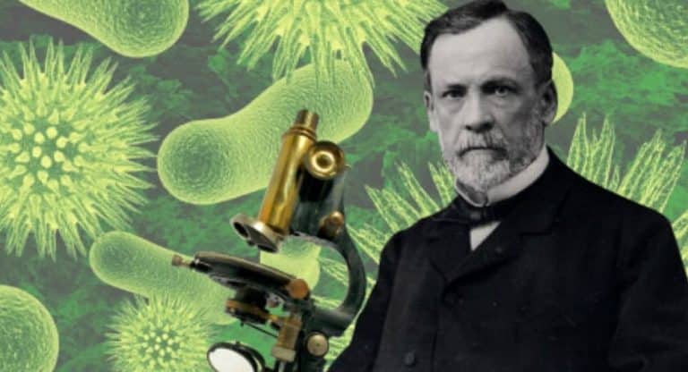 Los experimentos de Pasteur para refutar la generación espontánea
